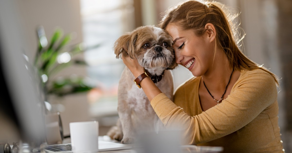 Veterinary Job Ads Prices - reach 347,000+ Vets & Techs | VJM